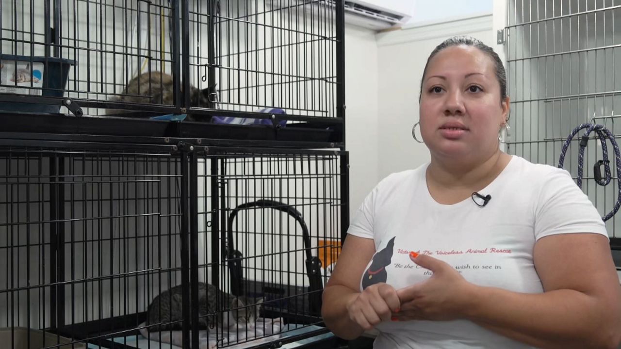 New Yorker of the Week: April Soto