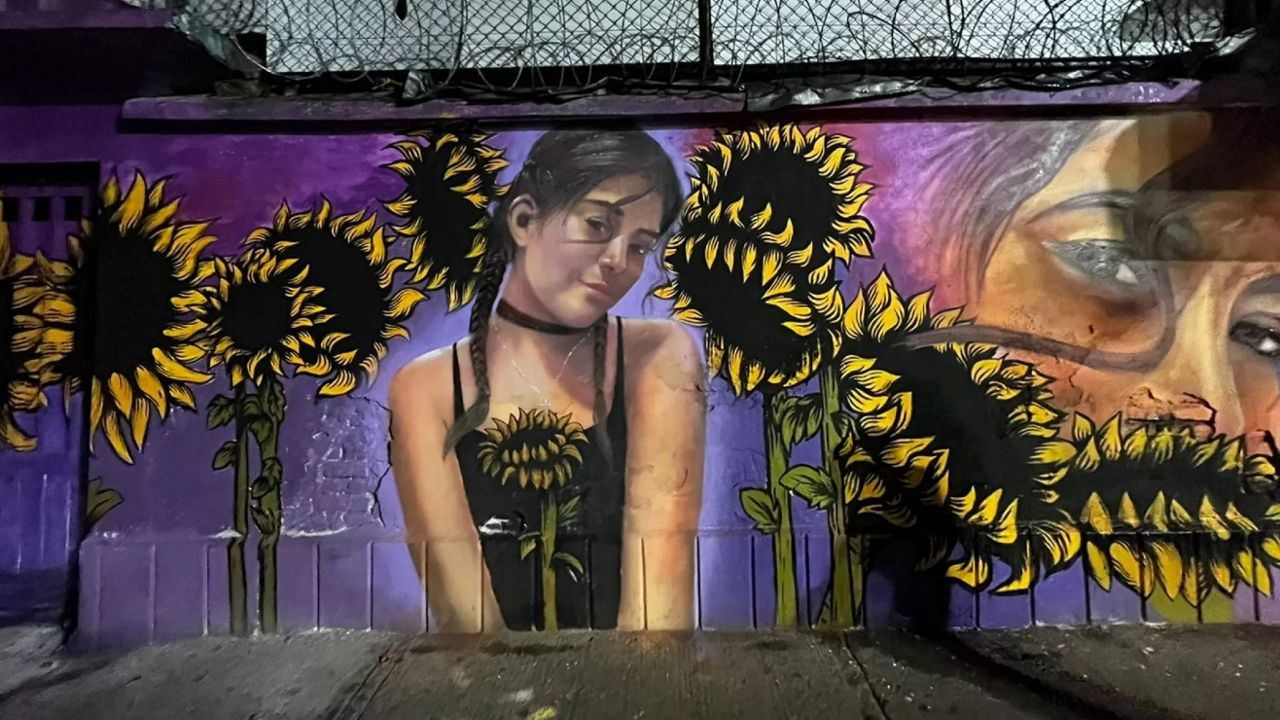 Ariadna López shines light on Mexico's femicide epidemic