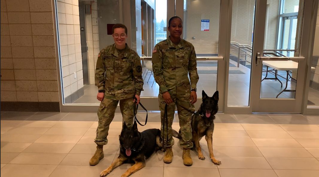 Army K9s Show Off Their Skills to Local Schools