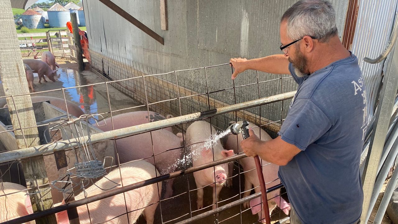 Murray State veterinarian bill passes House, moves to Senate