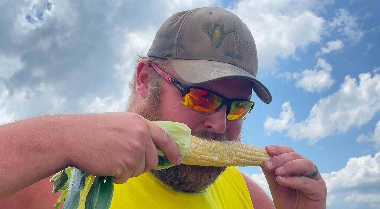 Wisconsin sweet corn farmer prepares for harvest