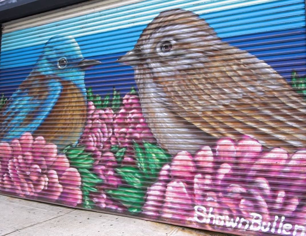 Bird murals pop up in Washington Heights