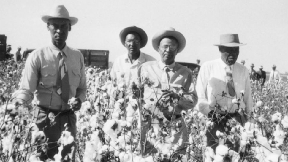 Historic photos of segregated Travis Co. salvaged after thrown in trash