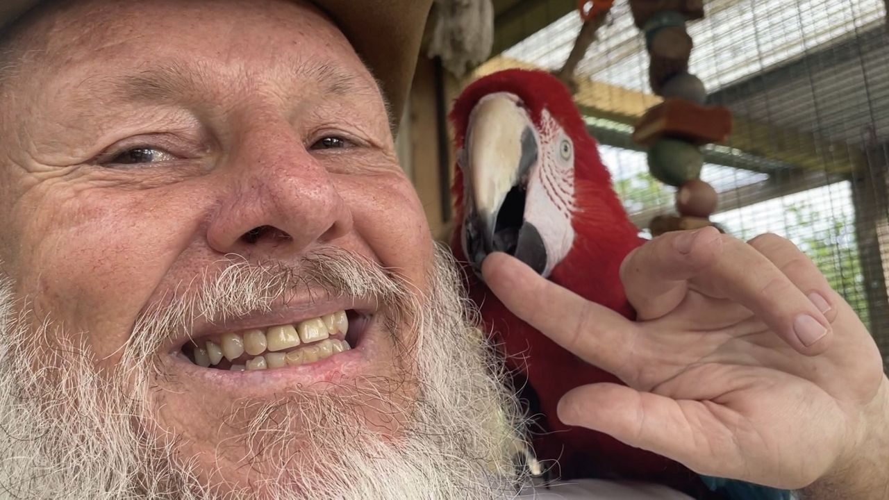 Parrot conservatory in Manatee County helps those in need