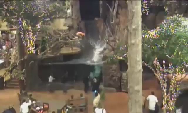 Teen Faces Possible Charges After Jumping into Bass Pro Shops Fish Tank