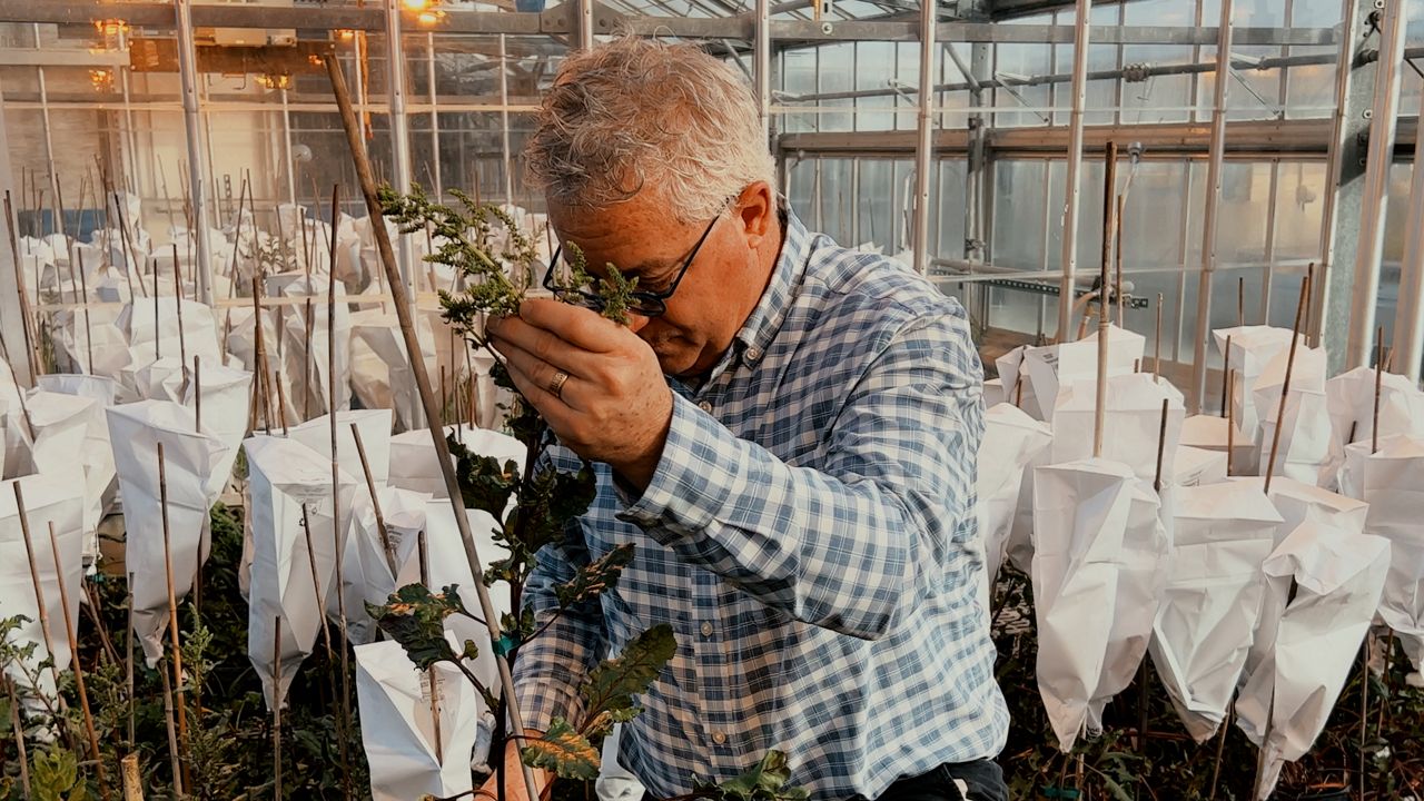 UW professor creating a beet that's good enough to eat
