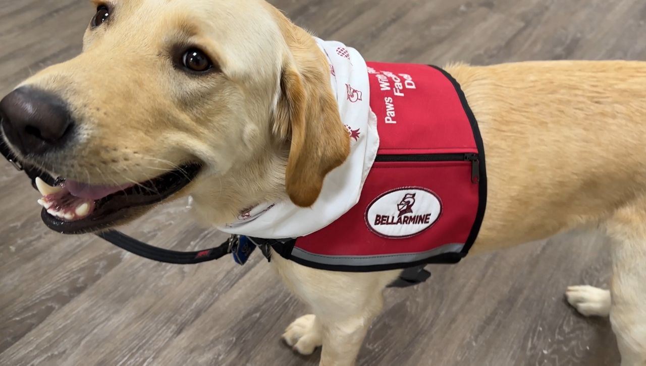 Bellarmine nursing program utilizes facility dog