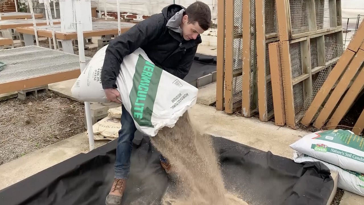 New urban farm offers crops from all across the world