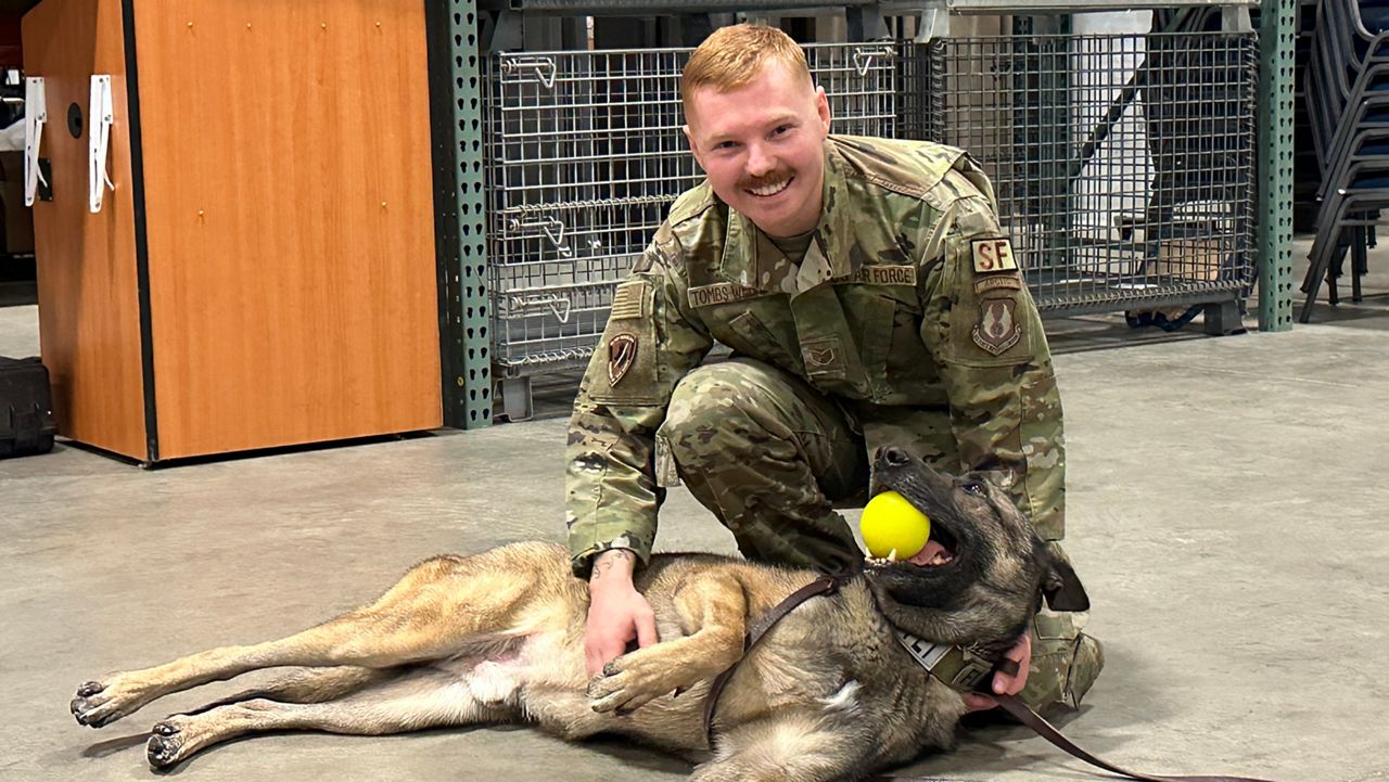 WPAFB honors military working dog 'Flex'