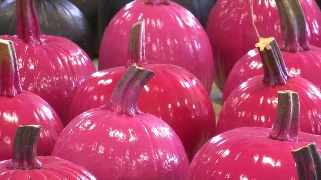 Pink Pumpkin Project helping breast cancer patients one paint job at a time
