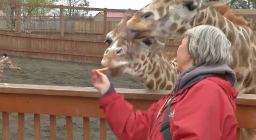 Opening Day at Animal Adventure