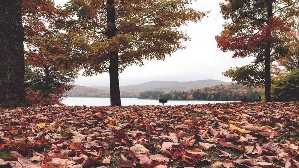 Warm And Breezy Tuesday As Rain Moves In