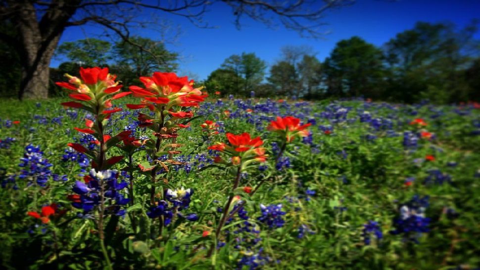 Drier Air Moves In, Stays For Weekend