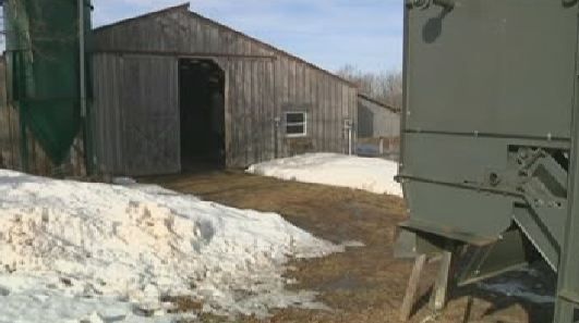 Hops Harvesting, Processing Center to Open in Madison County