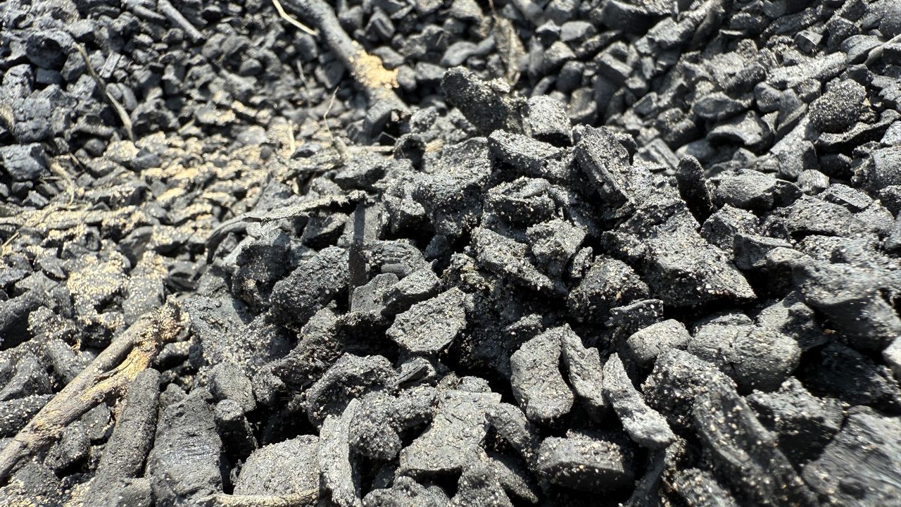 Nonprofit making Biochar with first mobile facility in FL