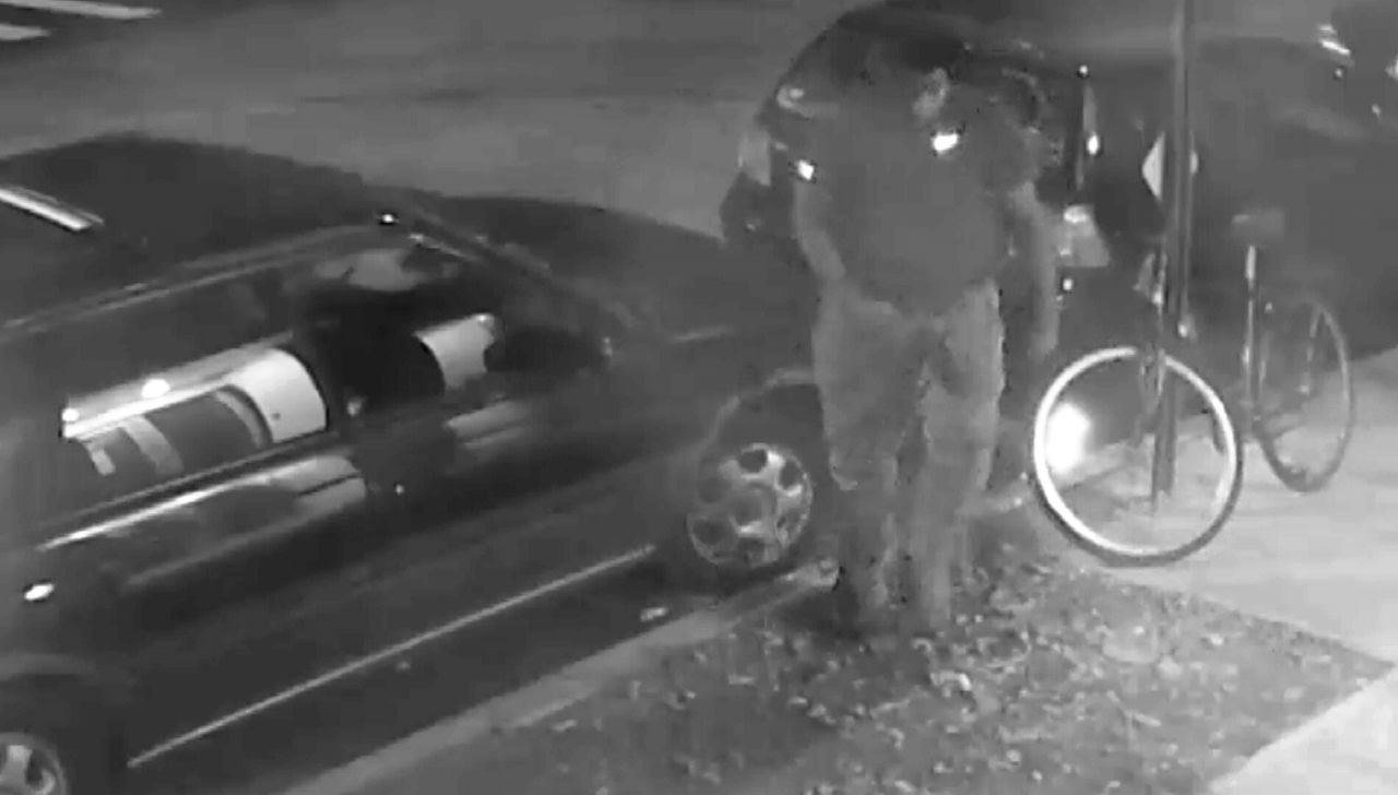 Nypd Investigates Brooklyn Sex Assault