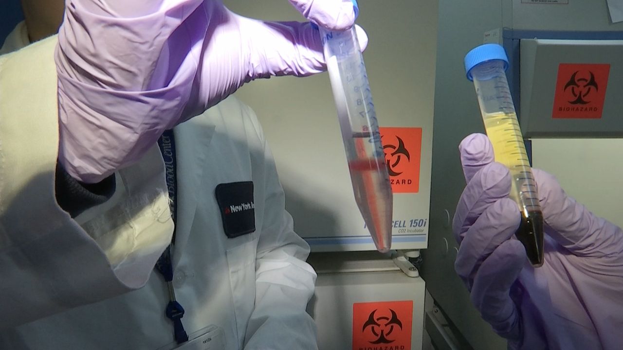 An Inside Look at the Lab Where Scientists Save Lives