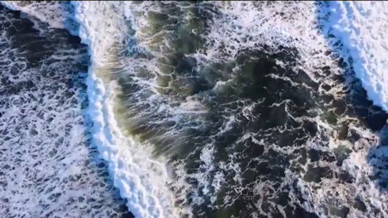 Blue Mind How Water is Good for Our Physical and Mental State