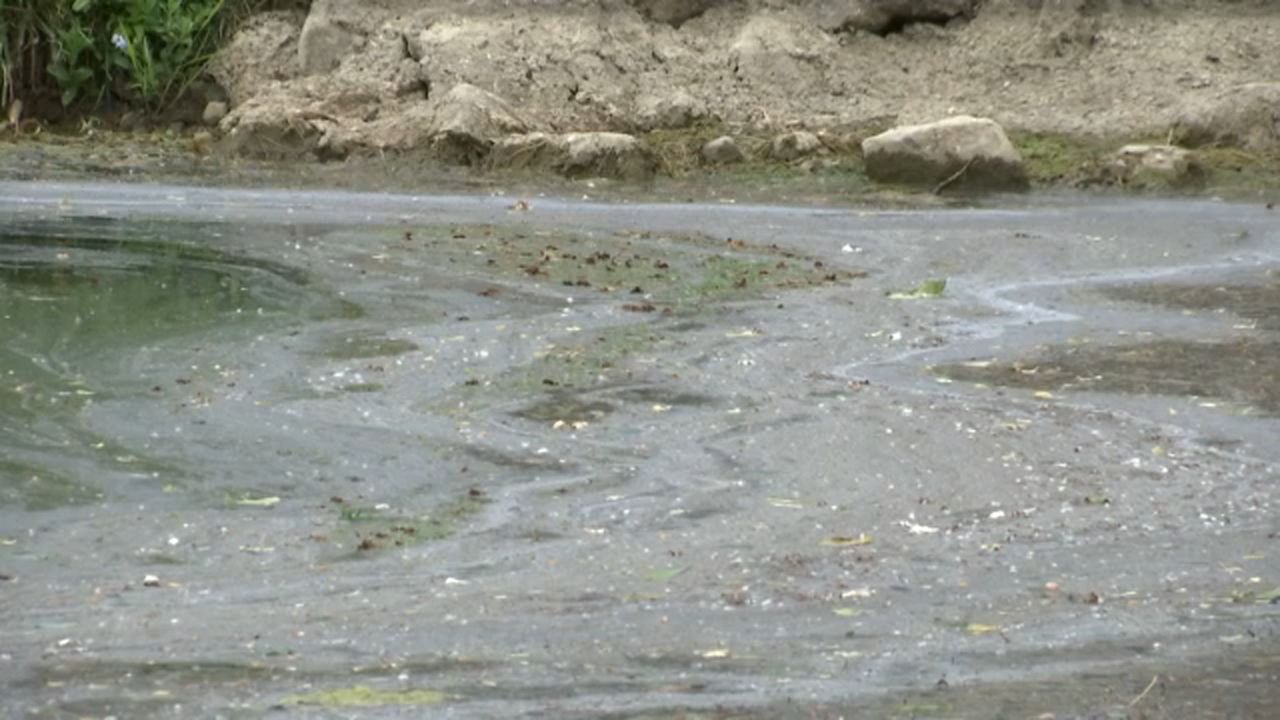 Ontario County Health Officials Monitoring Blue-Green Algae Blooms at ...