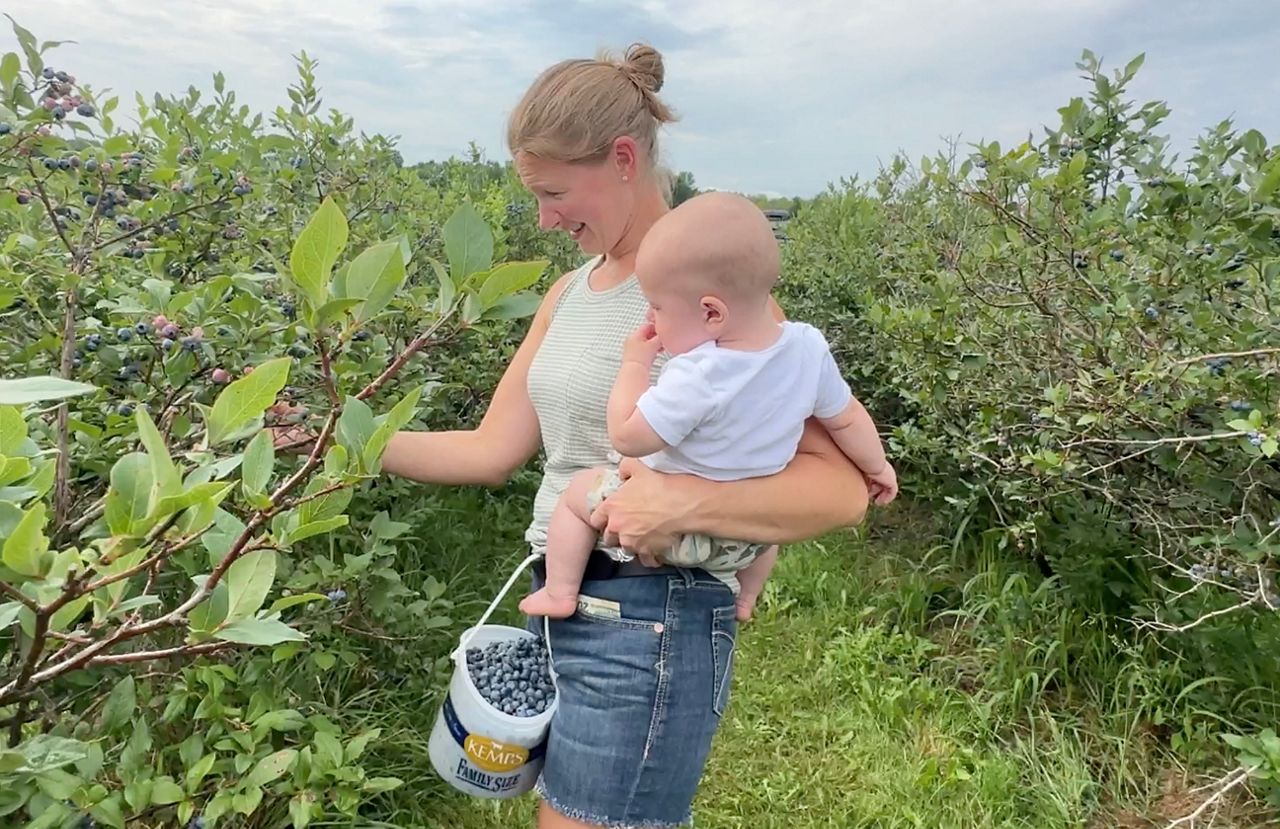 Wisconsin blueberry farm thrives despite drought conditions