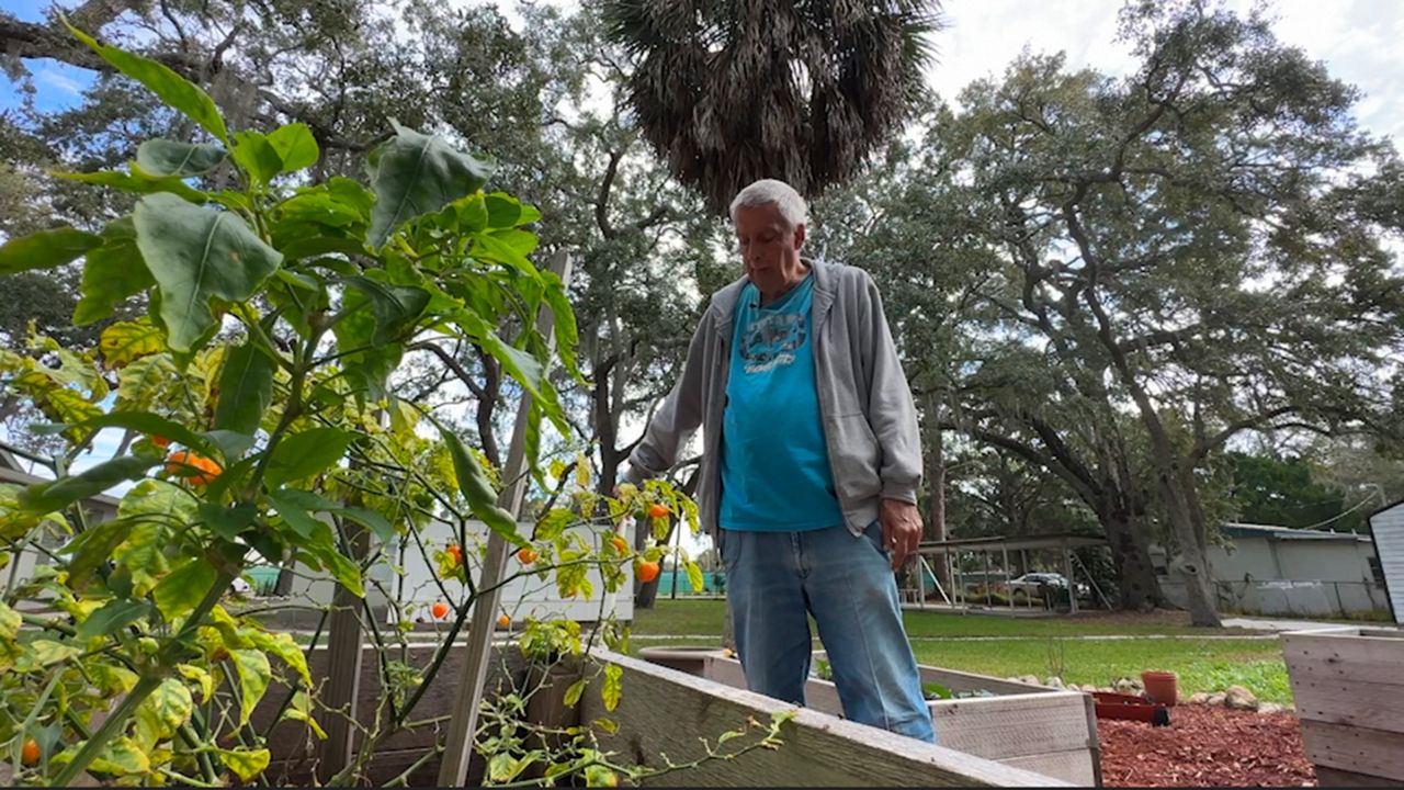 Tampa Bay area shelters noticing rise in homeless seniors