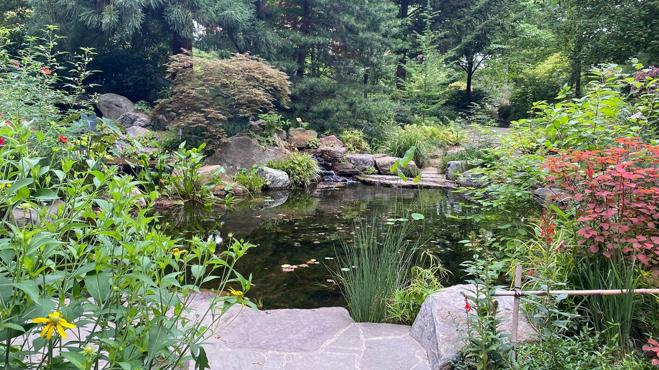 Unc Charlotte Botanical Gardens 9090 Craver Rd Nc 28262 | Fasci Garden