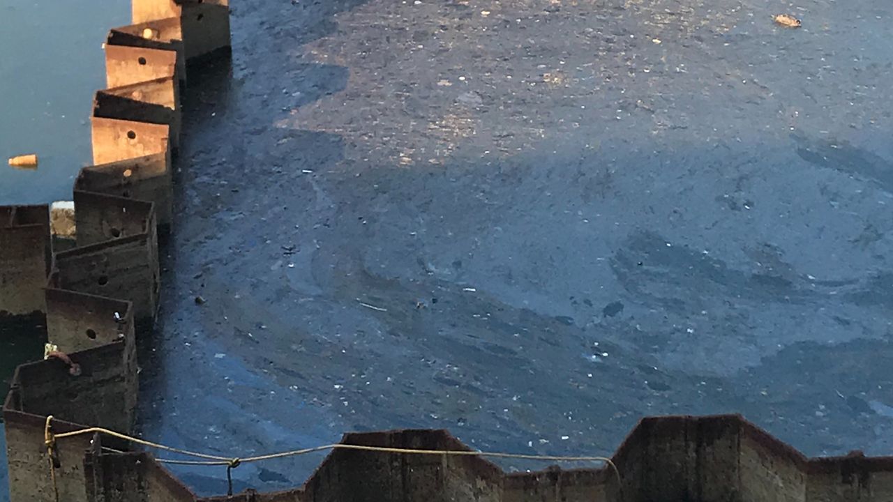 'Black Mayo' Seeps Into Gowanus Canal’s Only Clean Basin