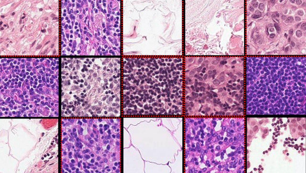 Wisconsin company on the cutting edge of AI