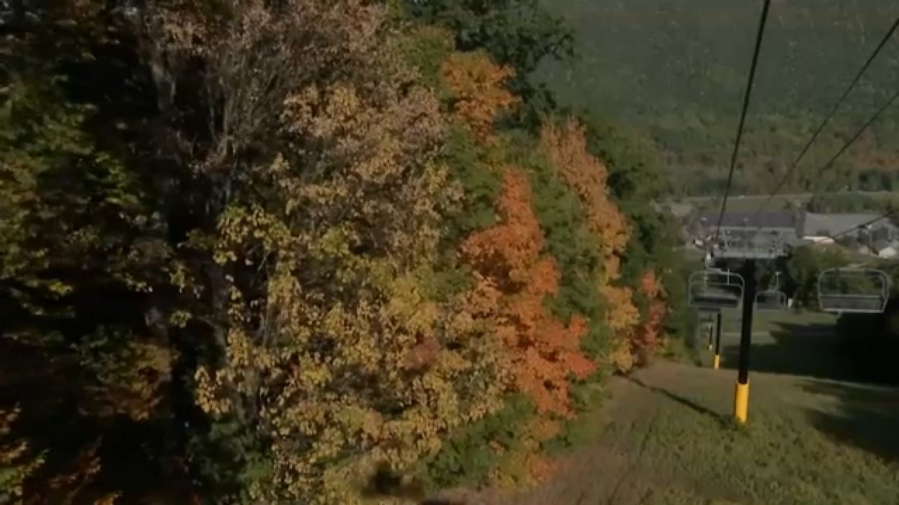 New York touts economic impact of fall foliage
