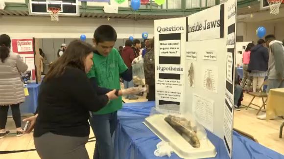 Bronx students explore climate change in science fair