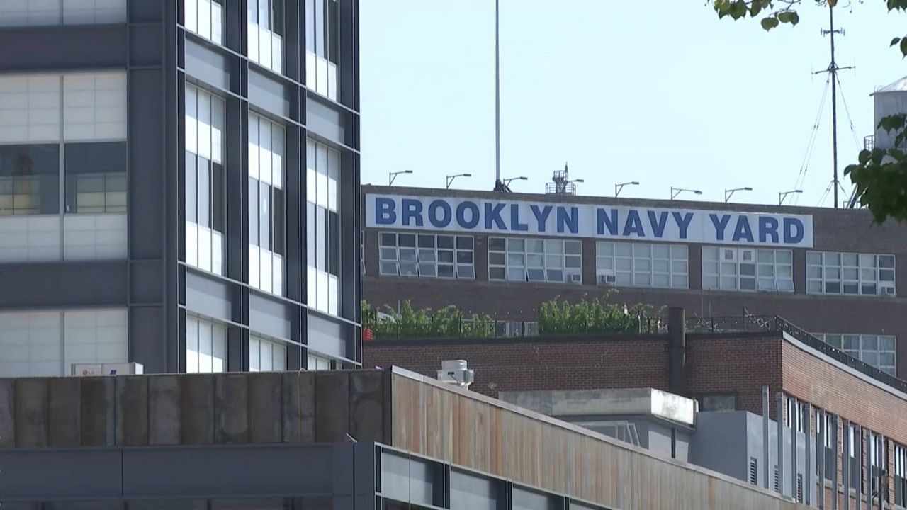 Brooklynites Unite Under a Divided Highway in Brooklyn