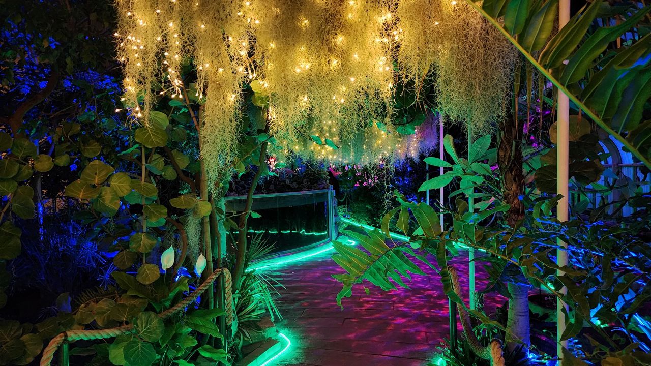 Botanical Garden At Night