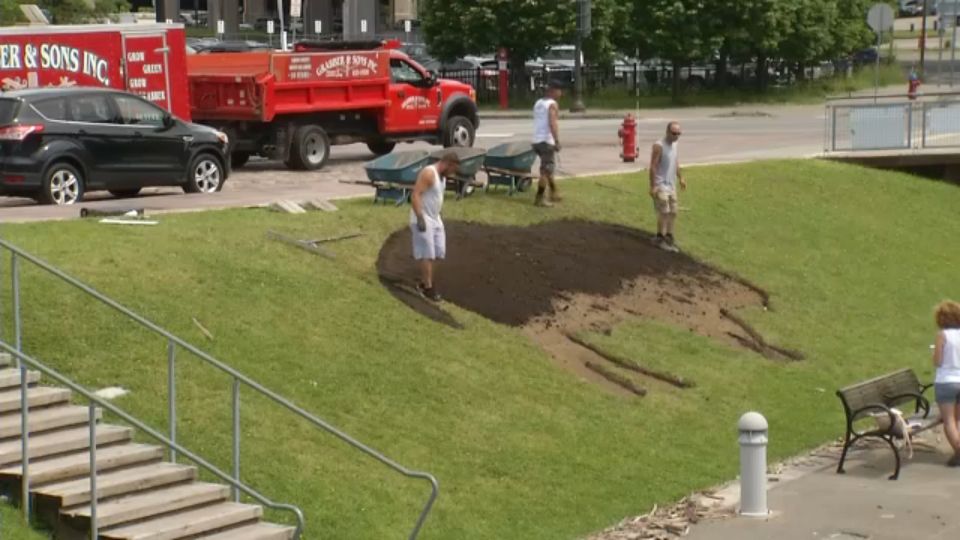 Buffalove photo takes place for 6th year