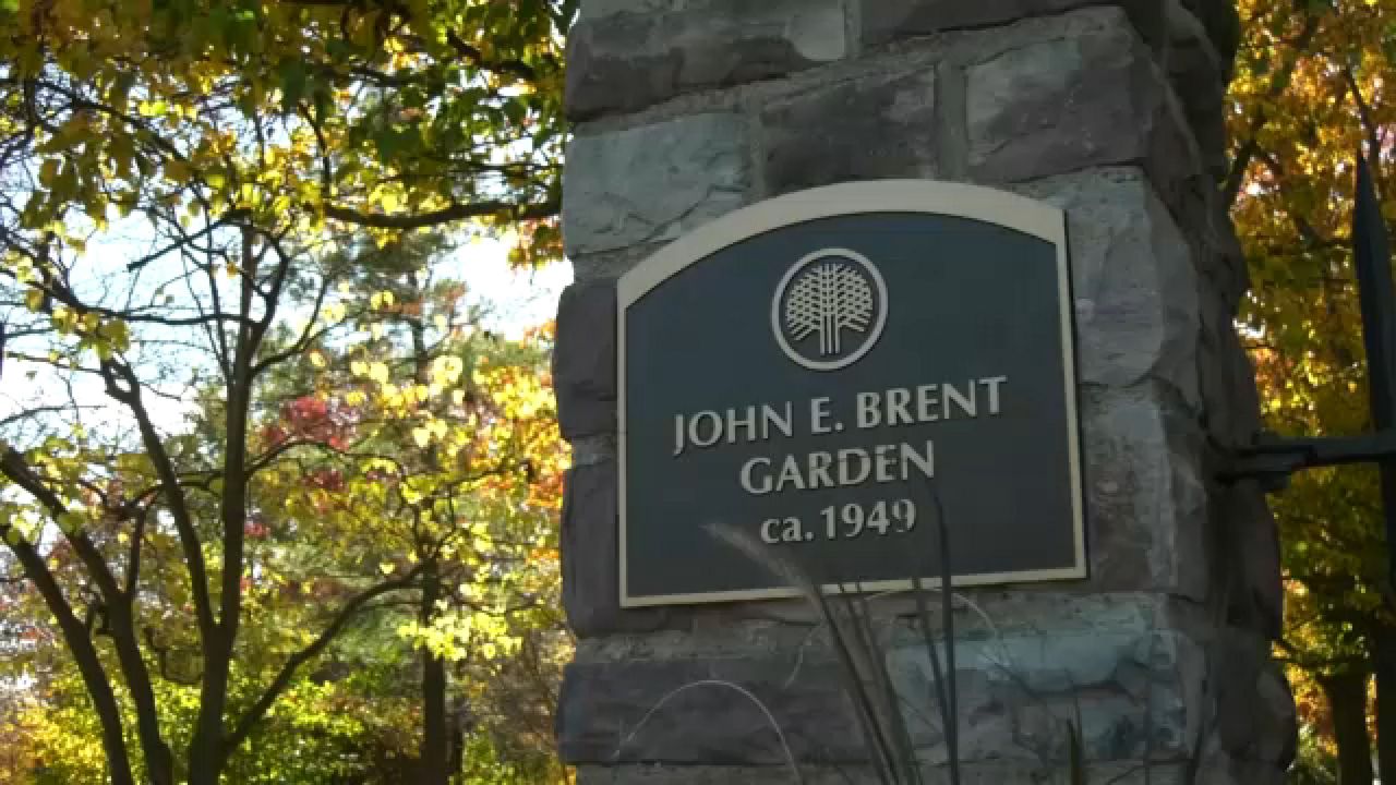 Buffalo’s first Black architect honored with garden