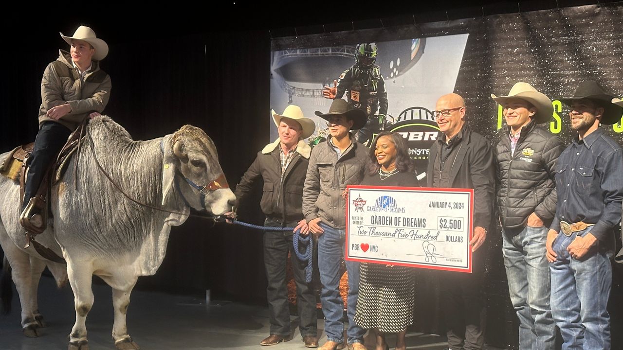Bull riding returns to Madison Square Garden
