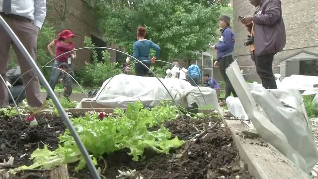 Bronx Block Association Gets Grant to Clean Up Empty Lot in Mott Haven