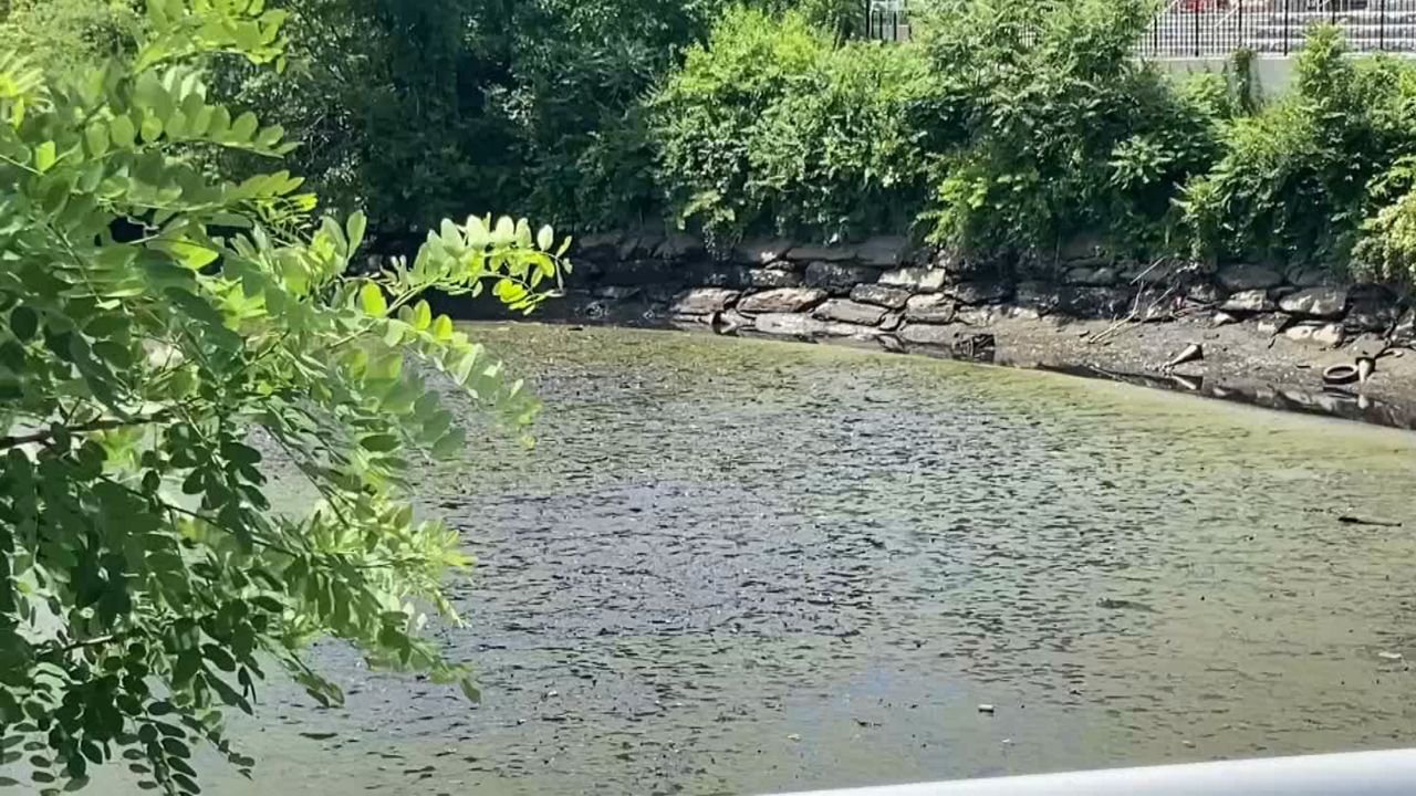 Residents hope to preserve Starlight Park