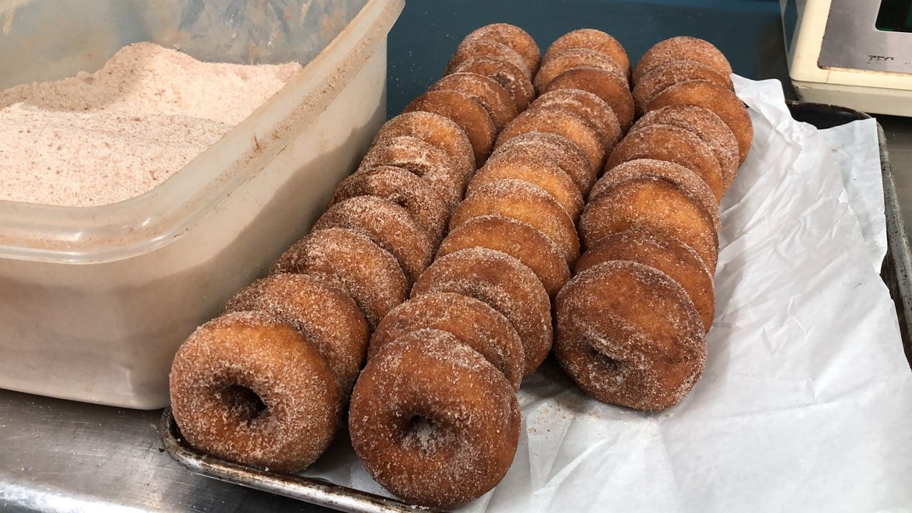 Sumptuous, Award-Winning Donuts in Gardiner