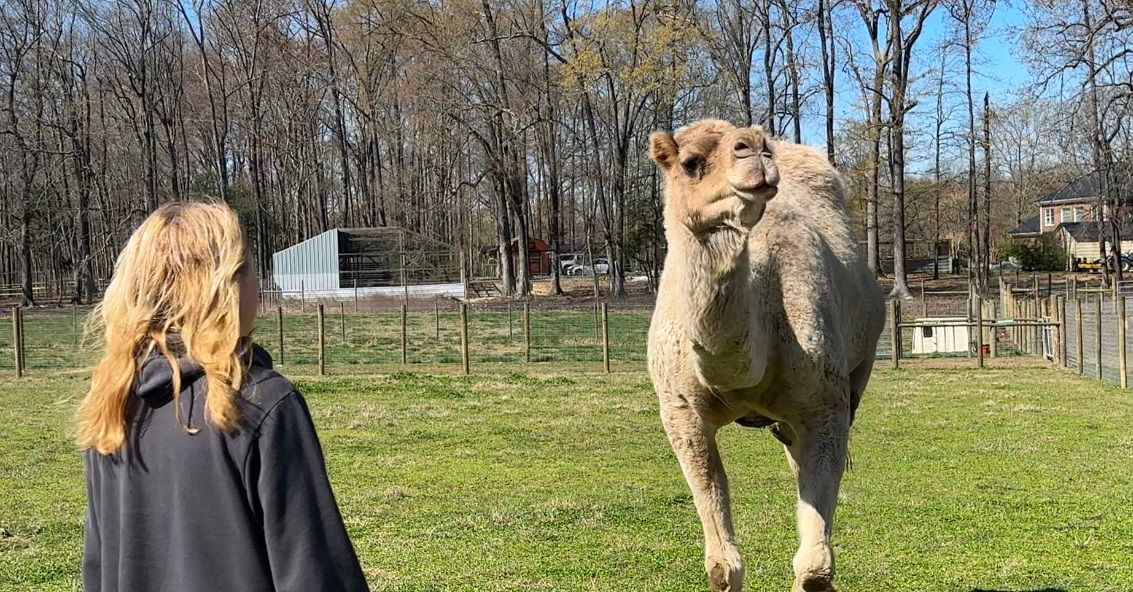 Animal rescue center in Liberty reopens