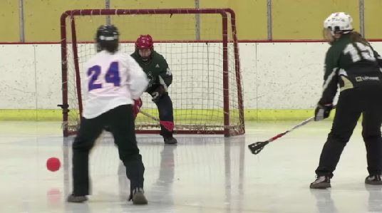 Local Broomball Tourney Draws Teams from Across Continent