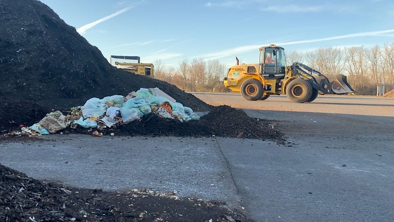 Environmentalists encourage holiday composting