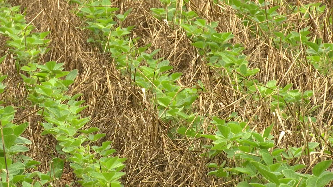 Benefits and barriers to farm carbon sequestration