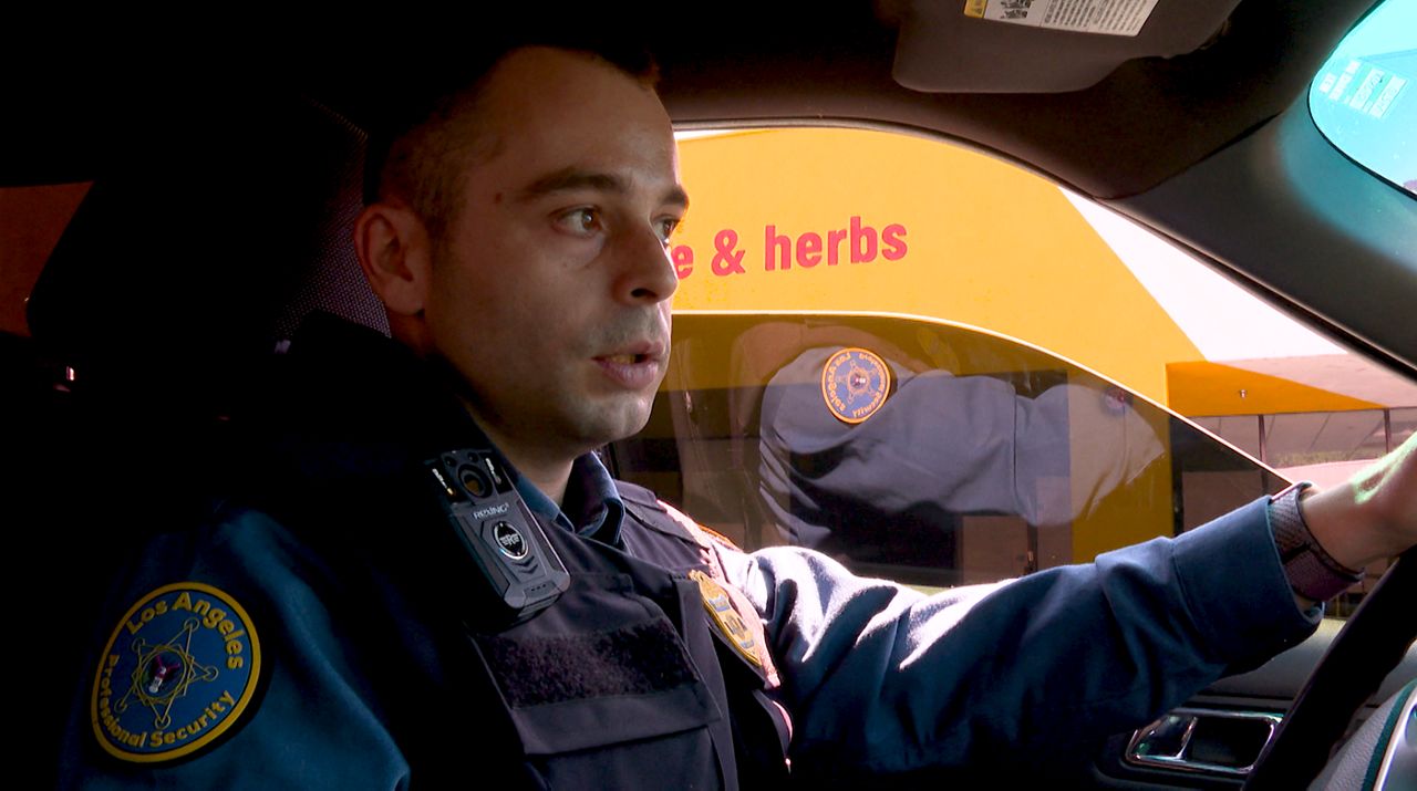 Reimagining Public Safety: What Is the Role of Private Security?