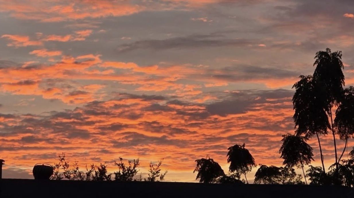 Weekend Digest Central Florida December 6 & 7