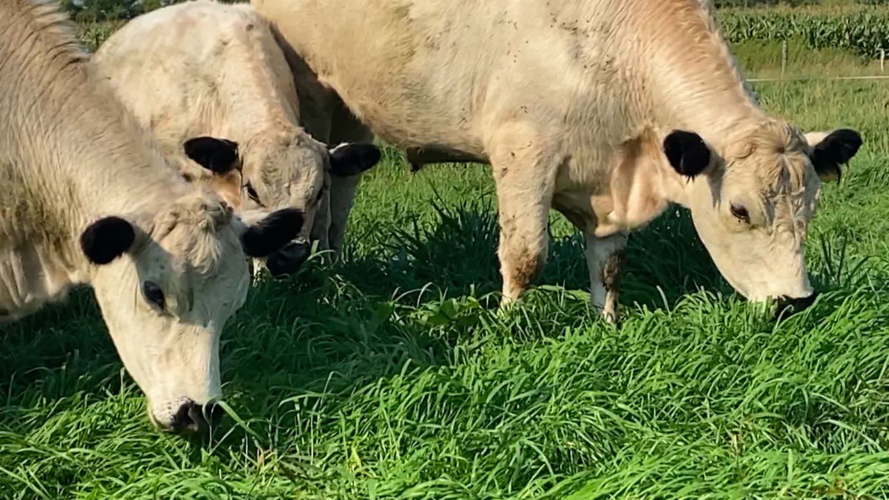Bouressa Family Farm teaches Wisconsin Women in Conservation