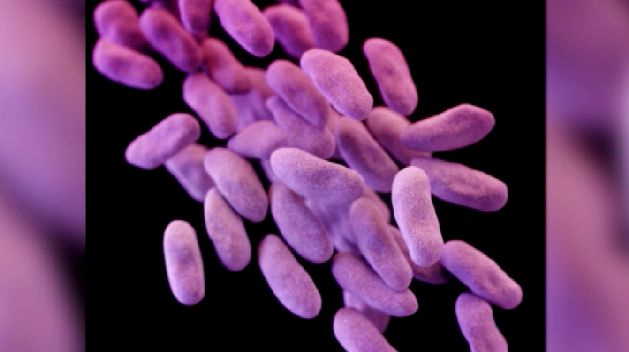 CDC Warns About Bacteria That's Resistant to Existing Antibiotics