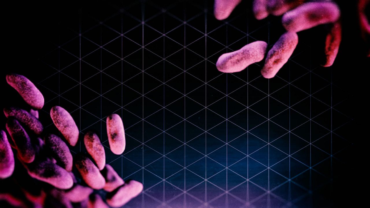 CDC: New Antibiotic-Resistant 'Superbug' Cases Highest in NY