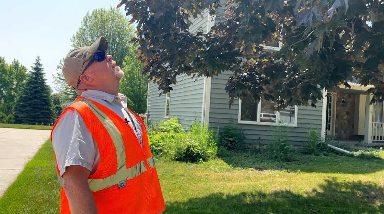 Forestry department deals with unusually dry conditions