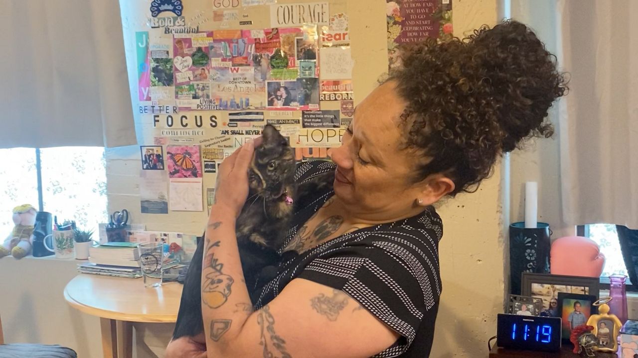 How $757 million in state funding will serve LA