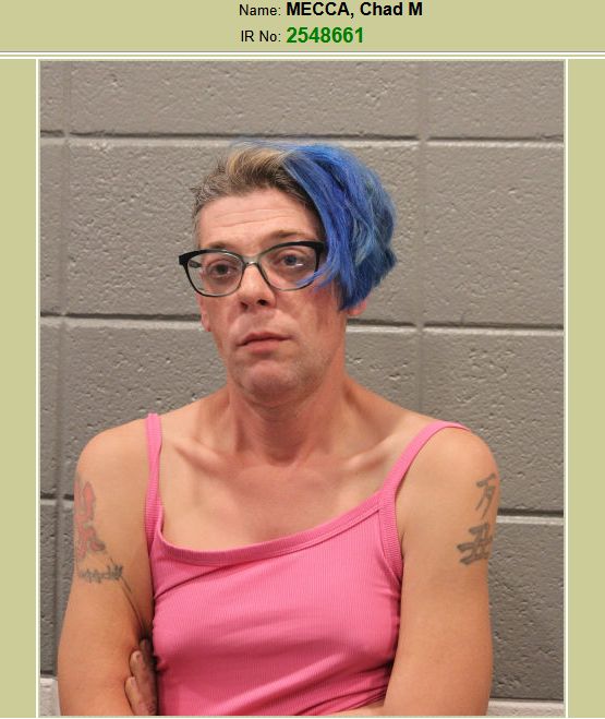 'Slender Man' defendant Morgan Geyser in Cook County custody